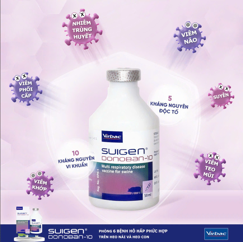 SỰ LỰA CHỌN HIỆU QUẢ CHO HEO VỚI SUIGEN DONOBAN-10: VẮC XIN ĐA GIÁ TỐI ƯU